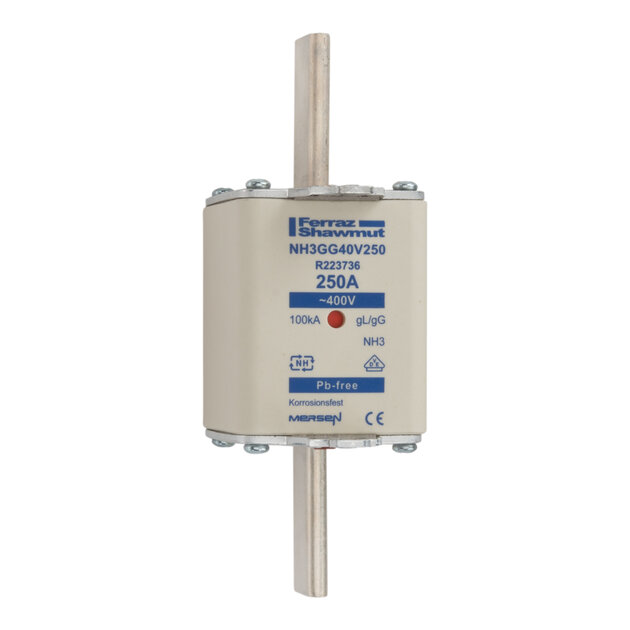R223736 - NH3GG40V250 Fuses | Mersen